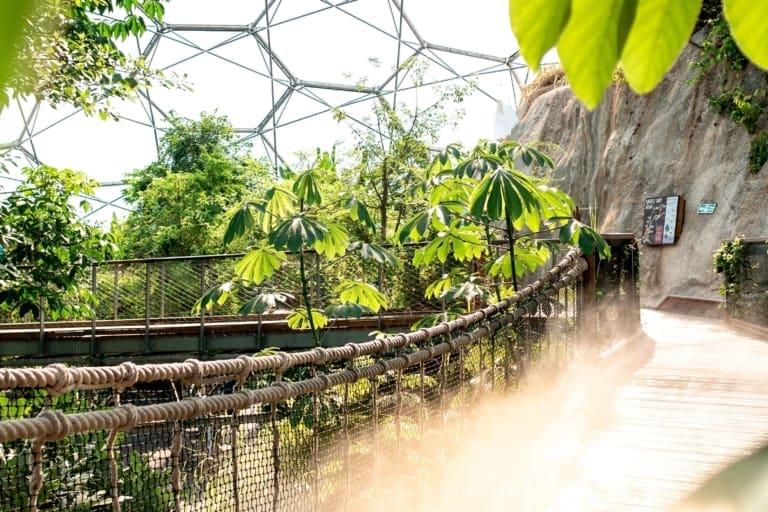 Eden Project unveils new branding