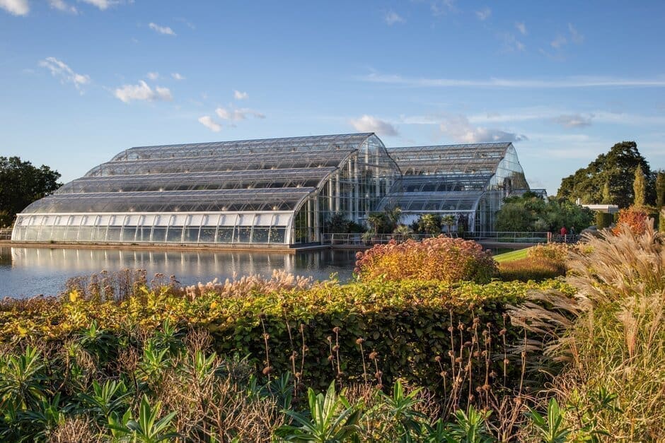 British Sign Language (BSL) tour of the RHS Wisley Glasshouse