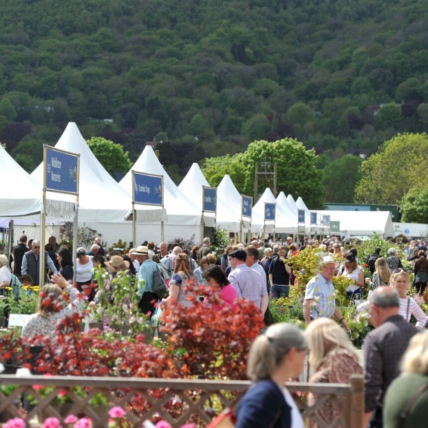 RHS Malvern Spring Festival 2025: An Overview