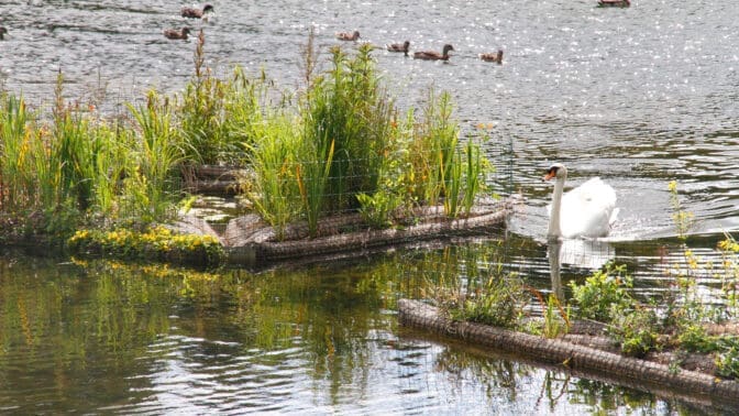 RHS Wisley Installs Floating Ecosystems
