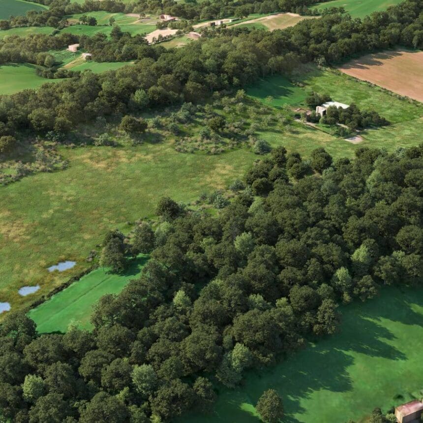 BNGx Launches Digital BNG Marketplace