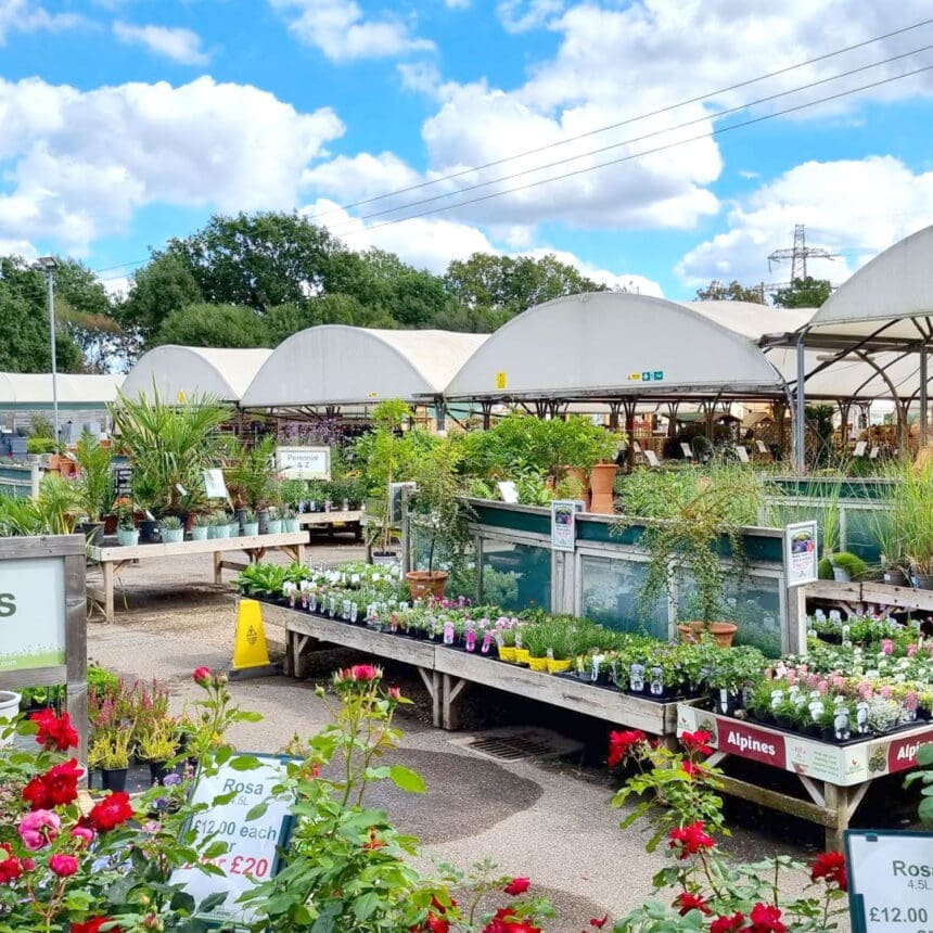 British Garden Centres Owned Northampton Garden Centre Reopened