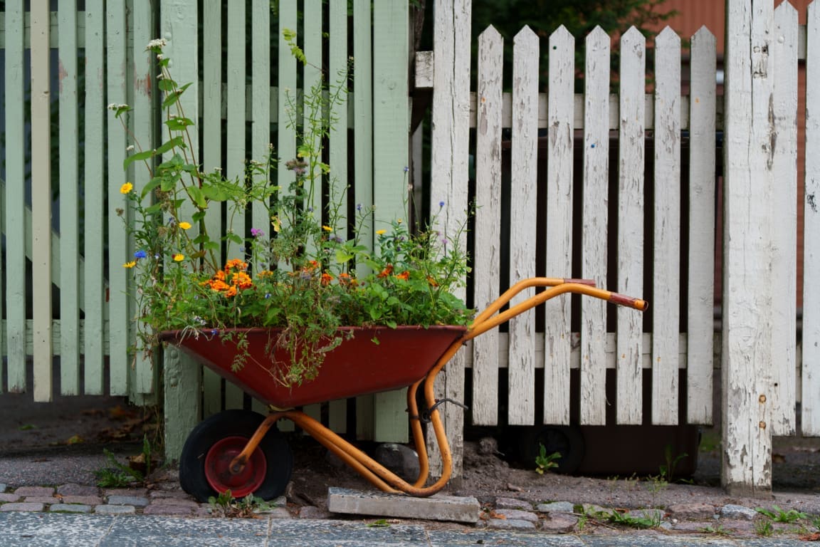 Apply Now for Dobbies Community Gardens Initiative