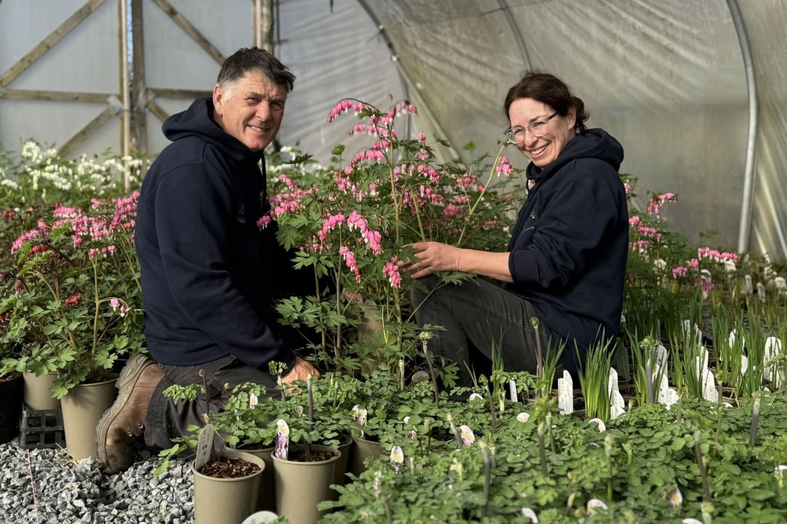 Gnome ban lifted at 2026 Chelsea Flower Show