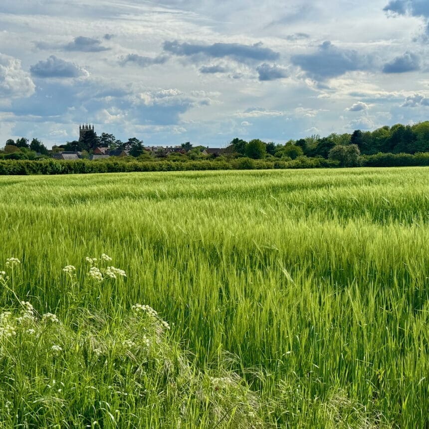 BNGx Launches Digital BNG Marketplace