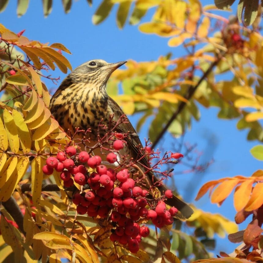 On-farm Water Laboratory To Monitor Bourne Tributary