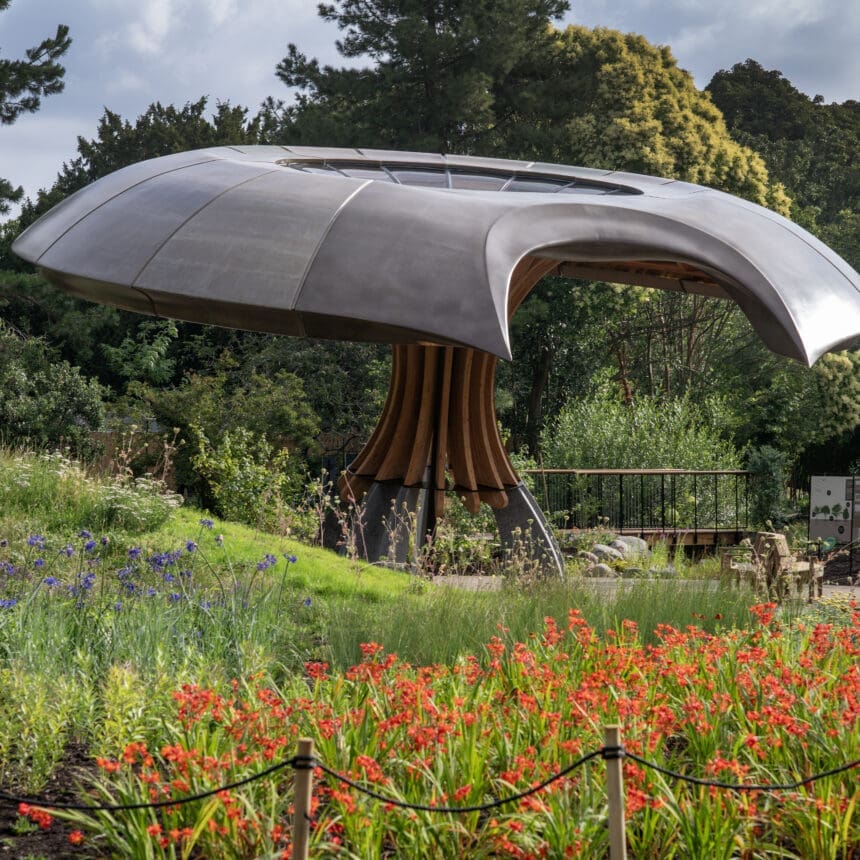 Rising Temperatures Are Rewriting Natural Cycles Of Plants