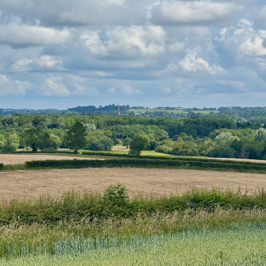 BNGx Launches Digital BNG Marketplace