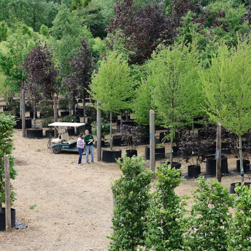 Winners: HTA Grower Of The Year Awards 2025