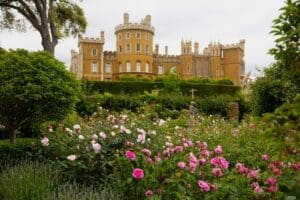 David Austin Roses announces limited reintroduction of classic ...