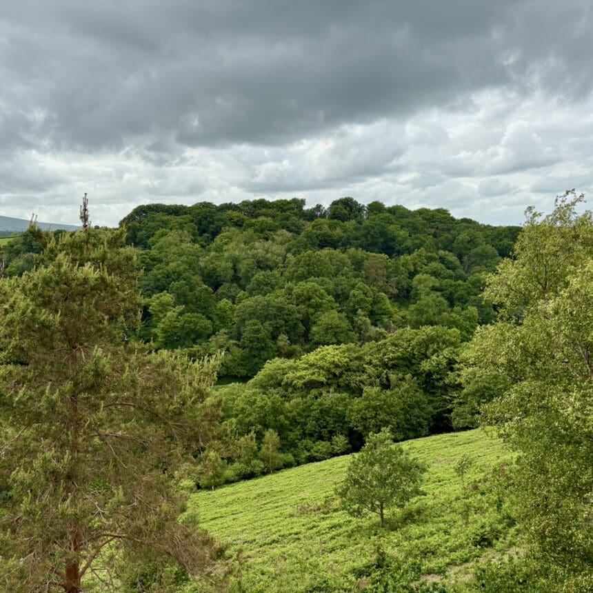 Watchdog Finds UK Failing To Meet Most Environmental Obligations