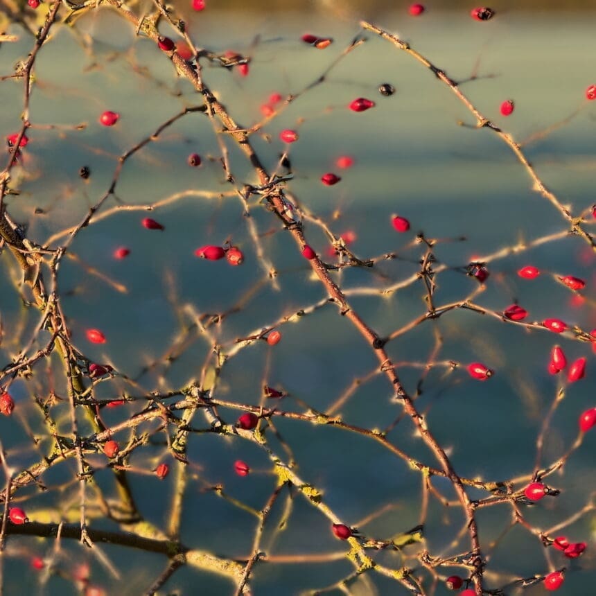 New Water White Paper Targets Pollution, Household Bills, And ...