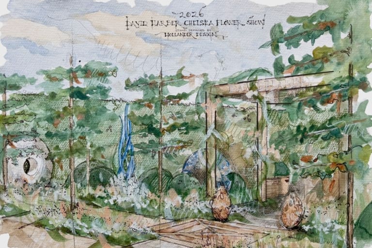 RHS Chelsea Flower Show 2026: Rundown of the medals
