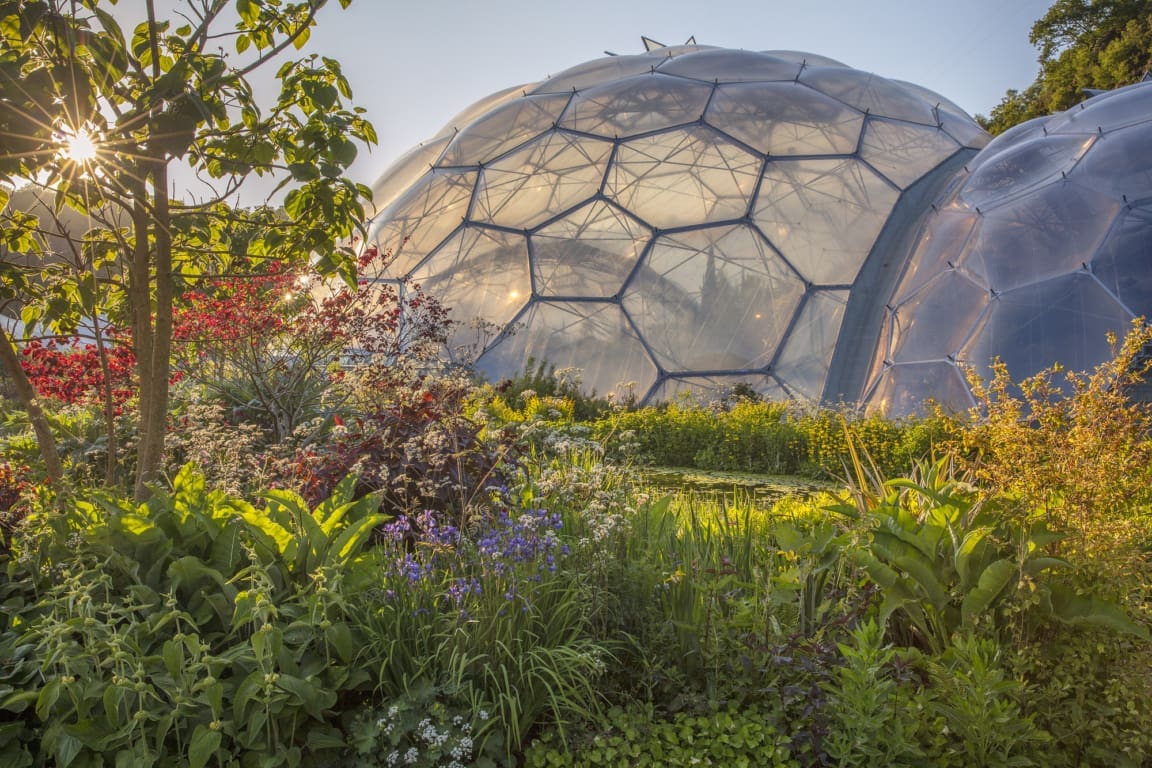 Eden Project launches Nature Connections Initiative