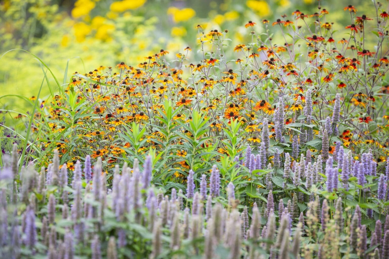 National Garden Scheme early garden openers for 2025