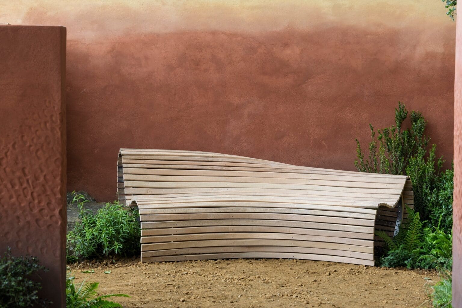 Hosta ‘Red Ninja’ crowned RHS Chelsea Plant of the Year 2026