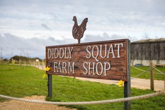 Blue Diamond and Diddly Squat Farm announce gardening products partnership